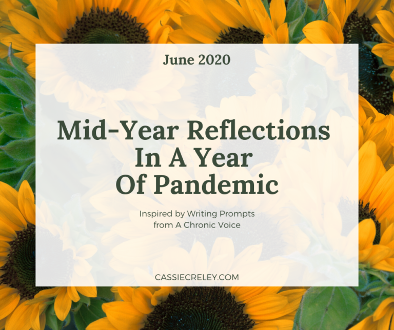 Mid-Year Reflections In A Year Of Pandemic: June Linkup