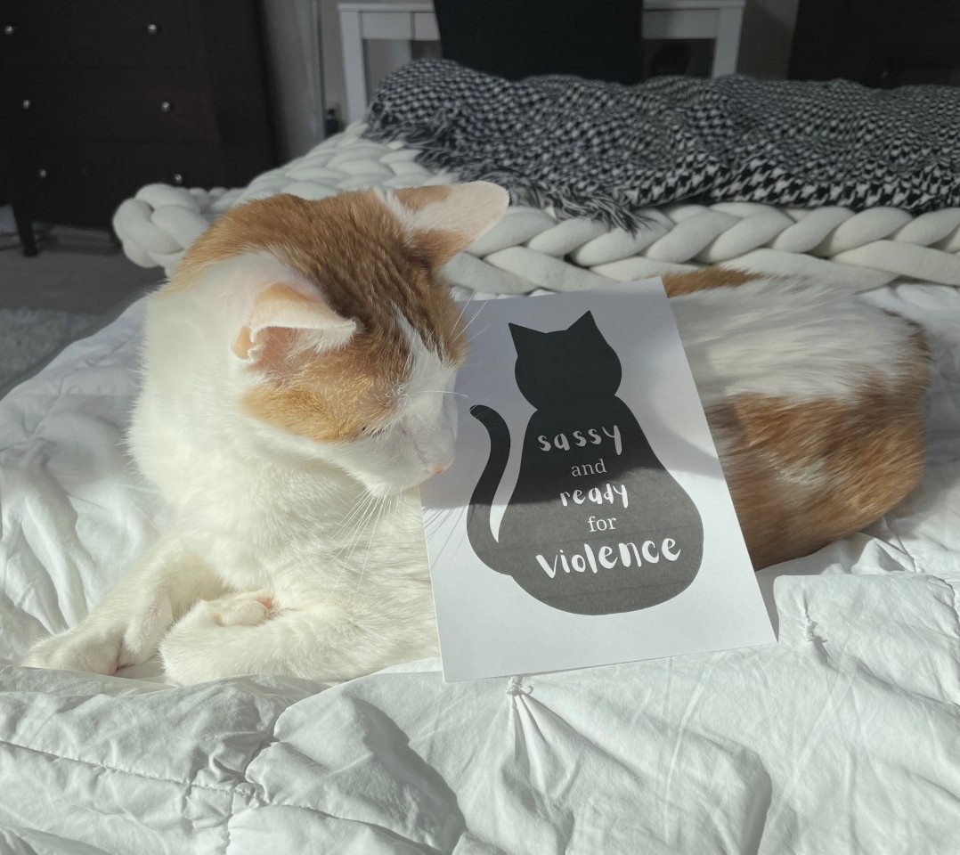 Mischievous Cat Printables